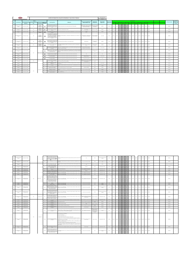 Hseq-R 002 Matriz de Identificacion de Requisitos Legales y Otros | PDF | Ciencias de la Salud