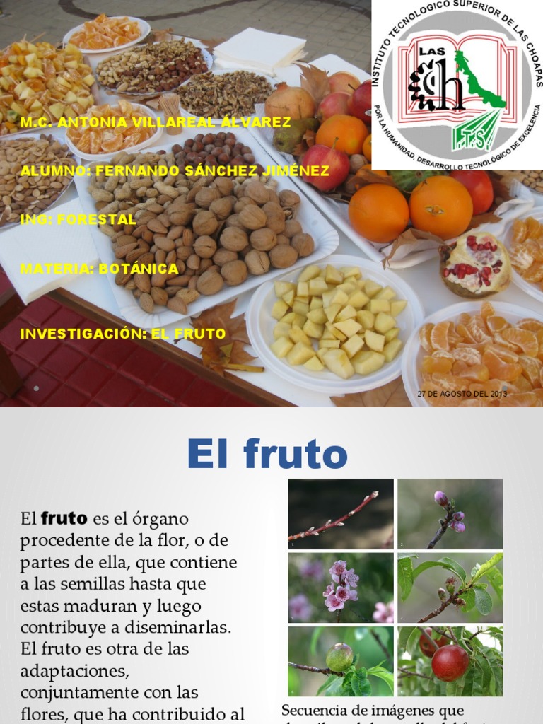 El Fruto y Sus Funciones | PDF