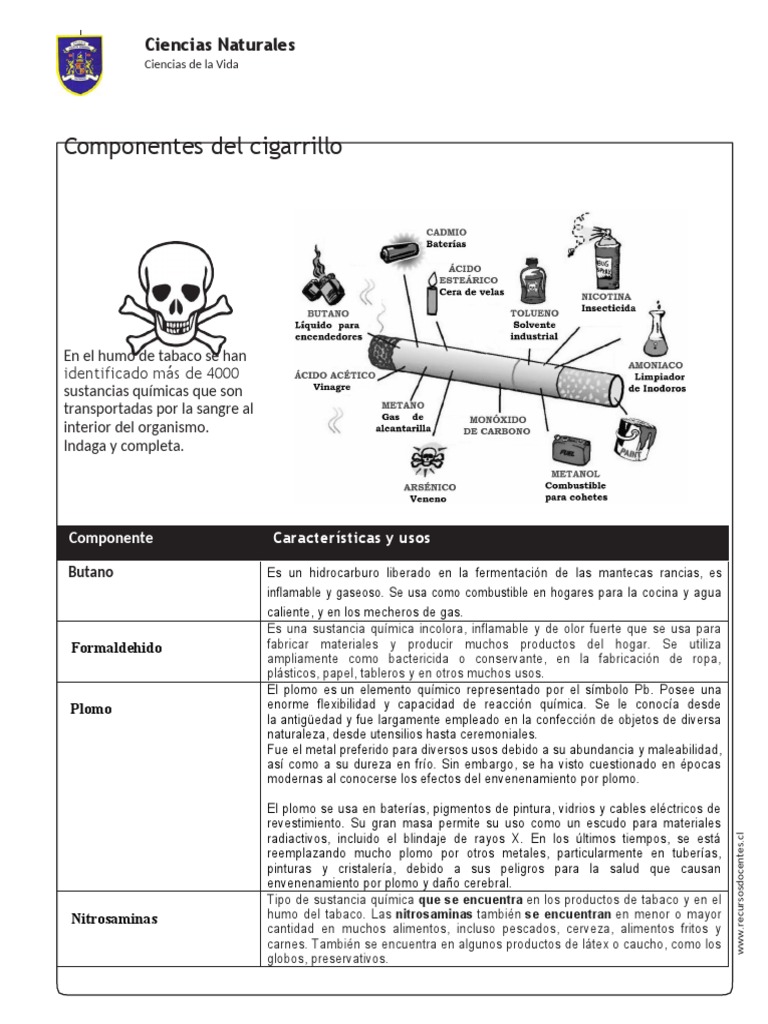 Guía Componentes Del Cigarrillo | PDF | Dirigir | Hidrocarburos