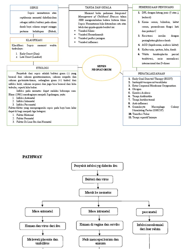 Mind Mapping Sepsis | PDF