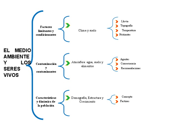 El Medio Ambiente y Los Seres Vivos | PDF | Ciencia y matemáticas