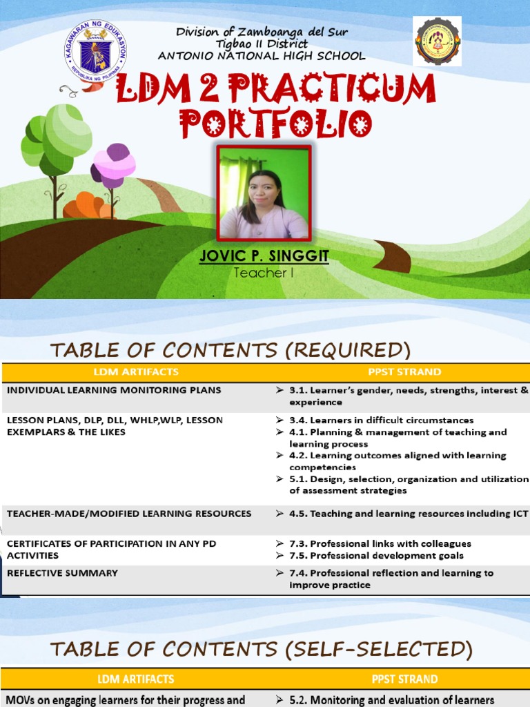 Tigbao National High School Practicum Portfolio | PDF | Learning ...