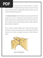 Rotator Cuff and Shoulder Conditioning Program - OrthoInfo - AAOS | PDF ...