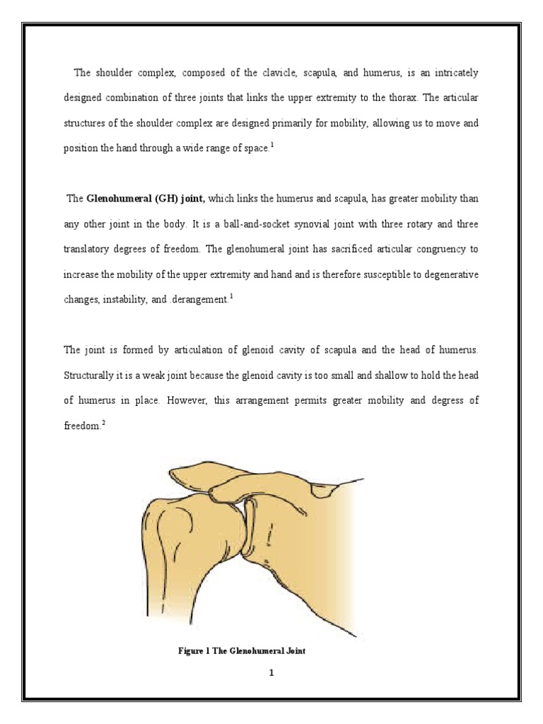 Glenohumeral Joint Distraction Insights | PDF | Anatomical Terms Of ...