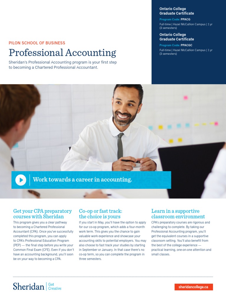 Professional Accounting: Work Towards A Career in Accounting | PDF ...