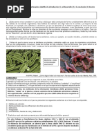 Modelo Sel de Casel | PDF | Las emociones | Aprendizaje