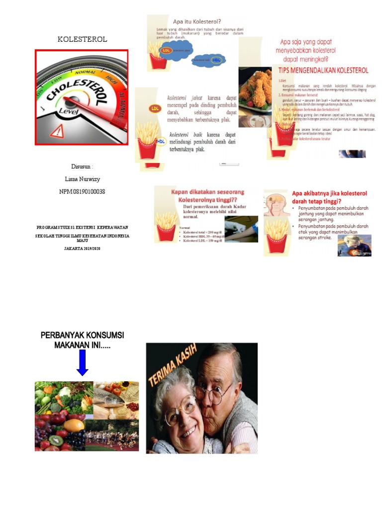 KOLESTEROL Leaflet Lisna | PDF