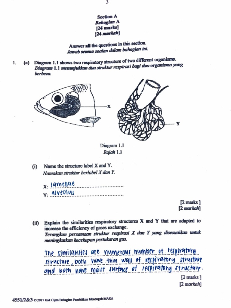 Bio Exercise | PDF