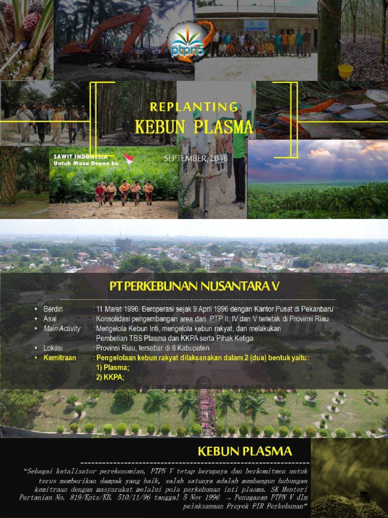 MENGELOLA PERMASALAHAN REPLANTING KEBUN PLASMA | PDF