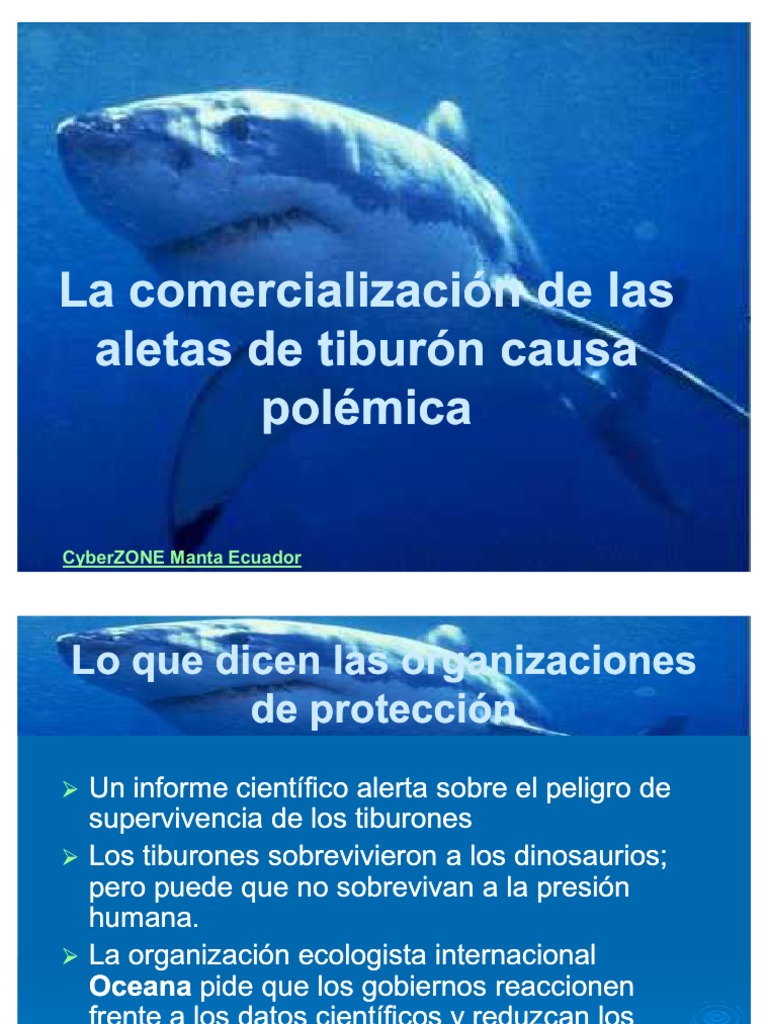 Aletas de Tiburón | PDF | Tiburones | Cita