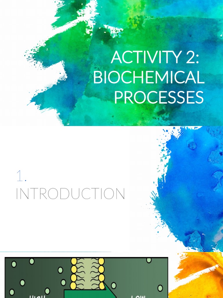 Biochemical Processes | PDF | Osmosis | Dialysis