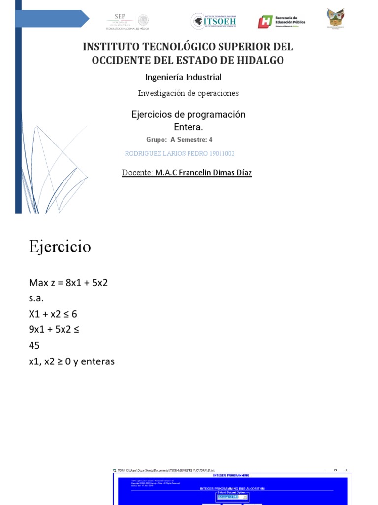 Ejercicios de Programación Entera | PDF