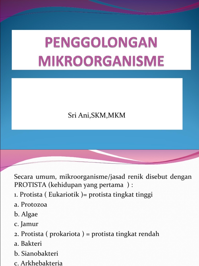 Sri Ani, SKM, MKM | PDF