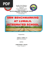 Benchmarking Proposal and Narrative Report | PDF | Benchmarking | Focus ...