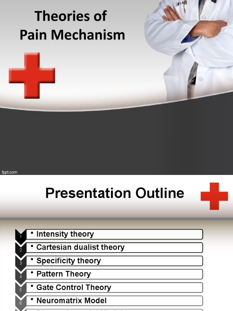 Theories of Pain Mechanism | PDF | Pain | Neuroscience