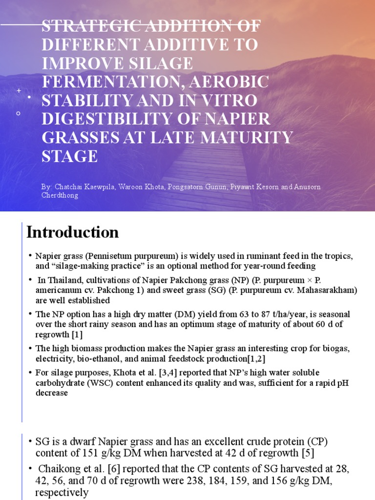 Strategic Addition of Different Additive To Improve Silage | PDF ...
