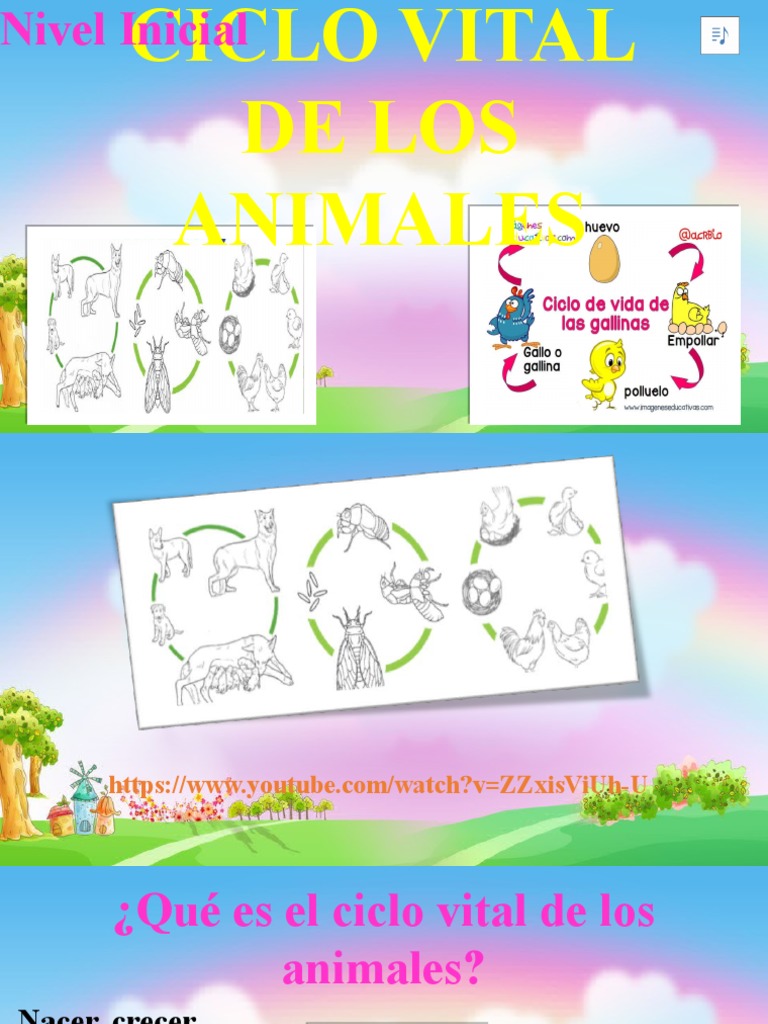 Ciclo Vital de Los Animales | PDF