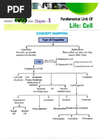 Fundamental Unit of Life Class 9 PPT 1 | PDF | Cell (Biology) | Osmosis