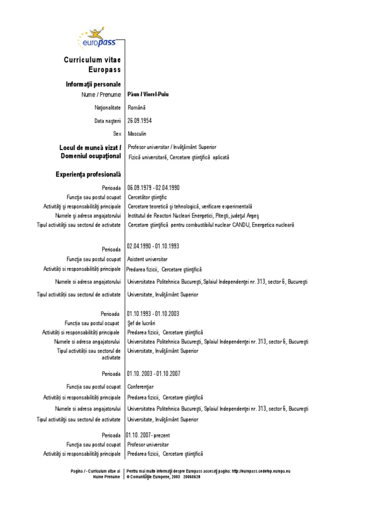 Paun Viorel CV | PDF