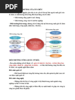 MÔ HÌNH CƠ CẤU TRỰC TUYẾN | PDF