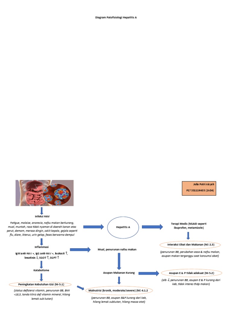 Diagram Patofisiologi Hepatitis A | PDF