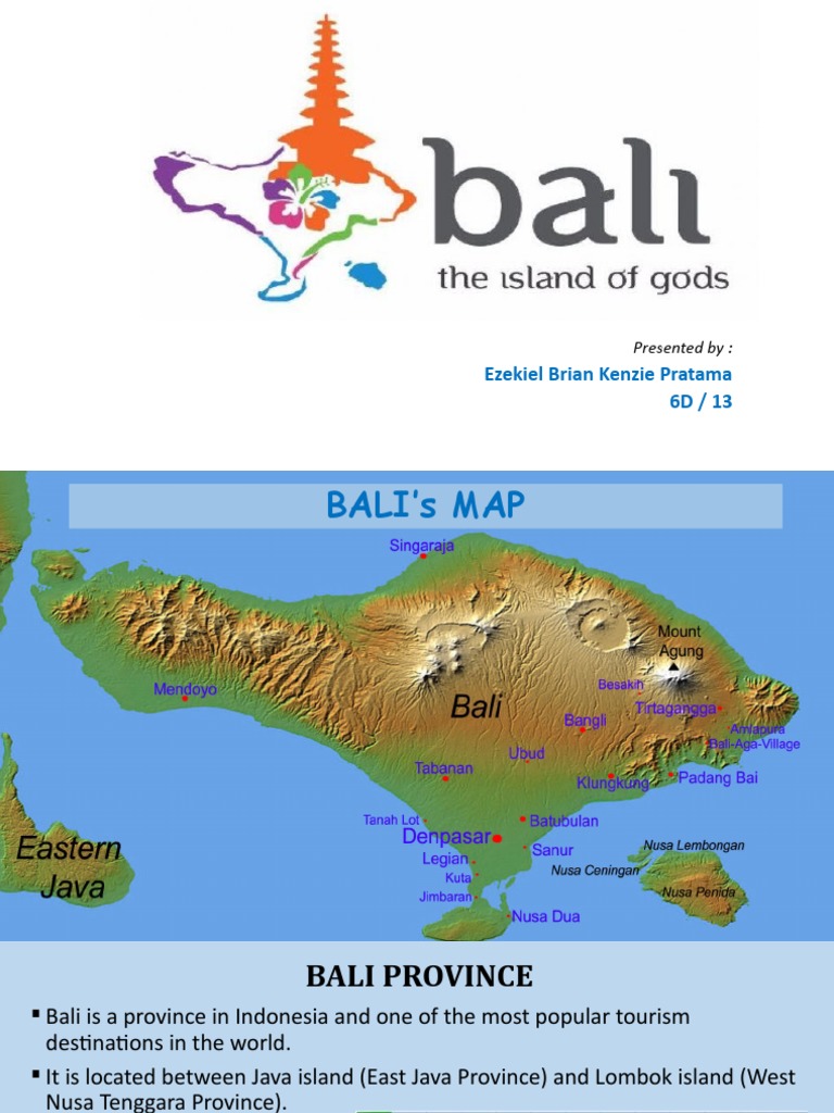 BALI Presentation | PDF