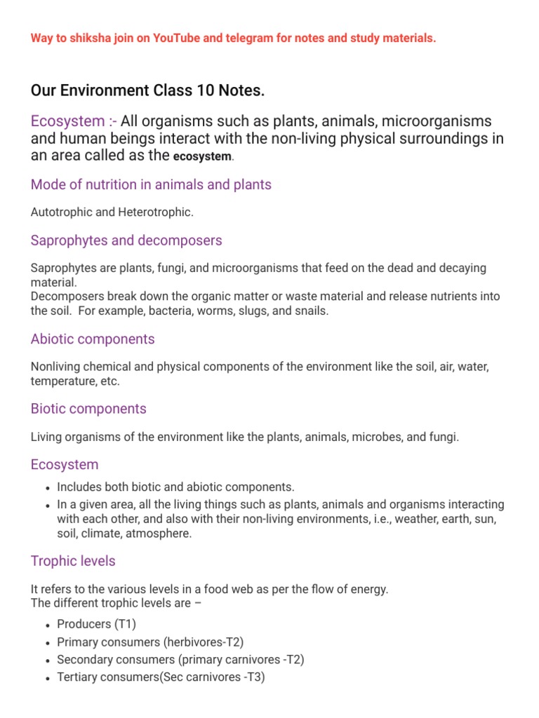 Class 10 Ecosystem and Environment Notes | PDF | Food Web | Ecosystem