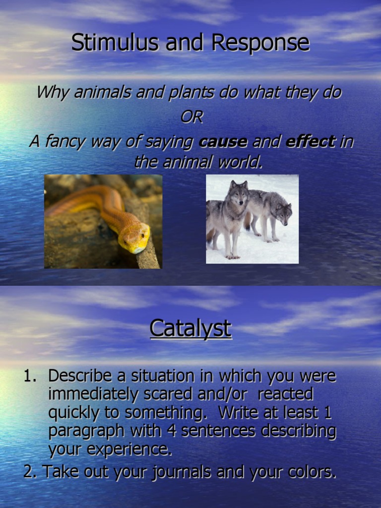 External Stimuli | PDF | Stimulus (Physiology) | Instinct