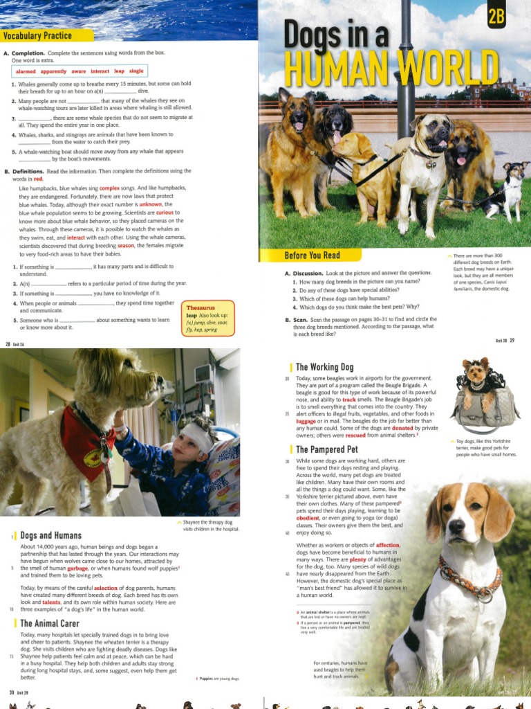 Reading Explorer 2 - 2nd Edition - Student Book - NoRestriction-trang ...