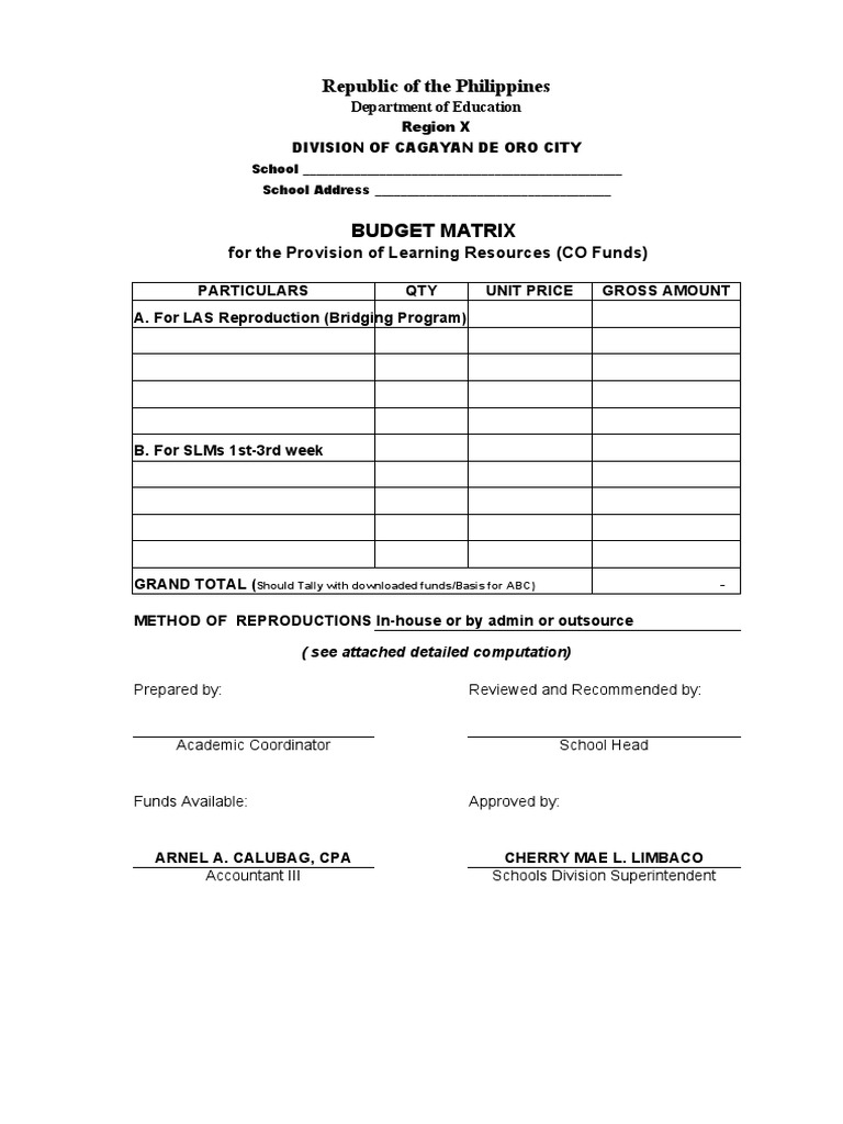 2021 Budget Matrix Template For SLMs | PDF