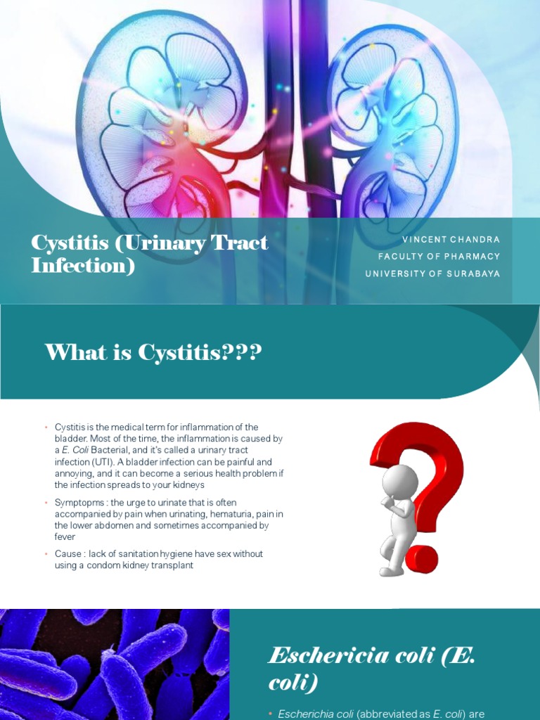 Microbiology Infection Disease - Urinary Infection | PDF | Urinary ...