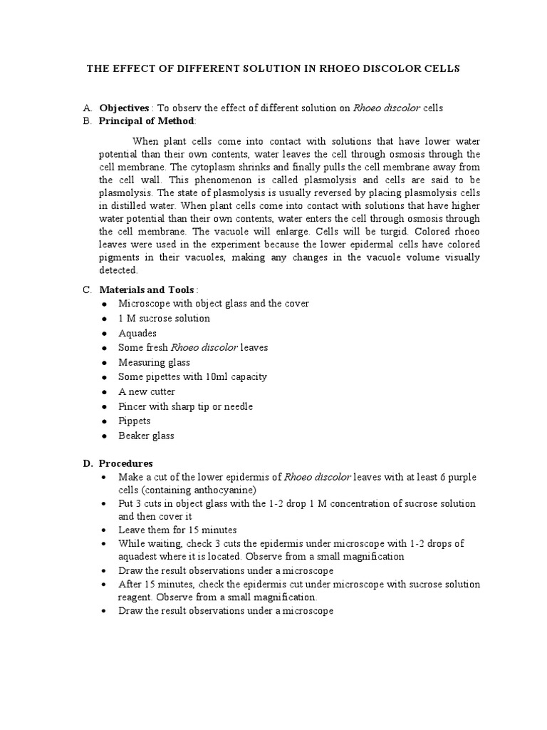 Plasmolysis Effects in Rhoeo Discolor Cells | PDF | Osmosis | Organisms