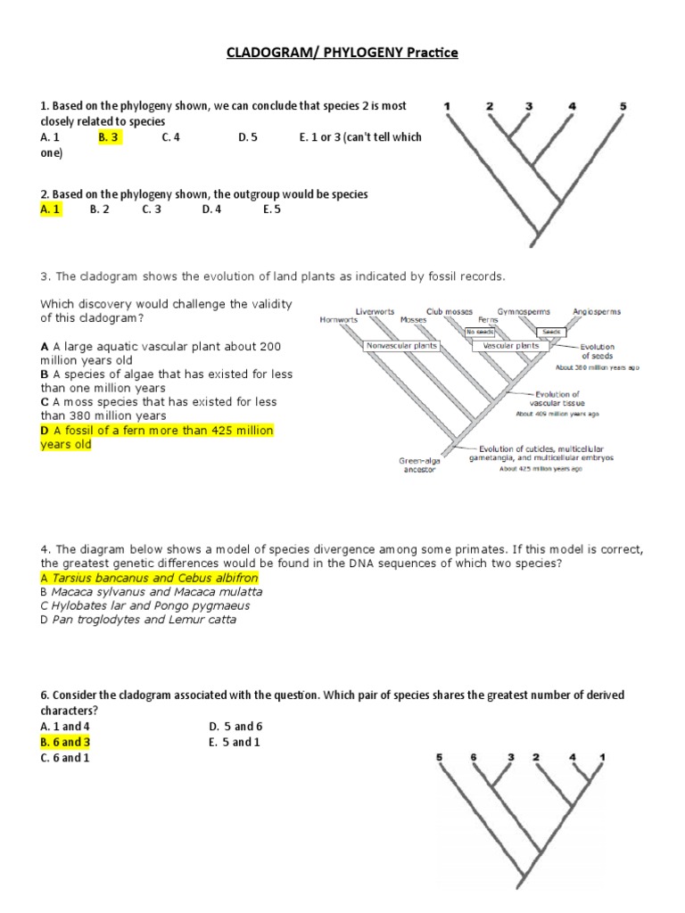 CLADOGRAM Practice Problems | PDF
