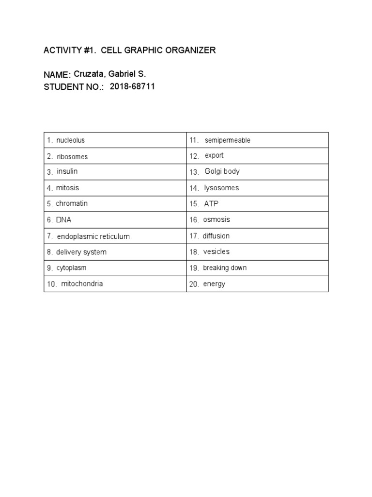 Activity #1. Cell Graphic Organizer | PDF