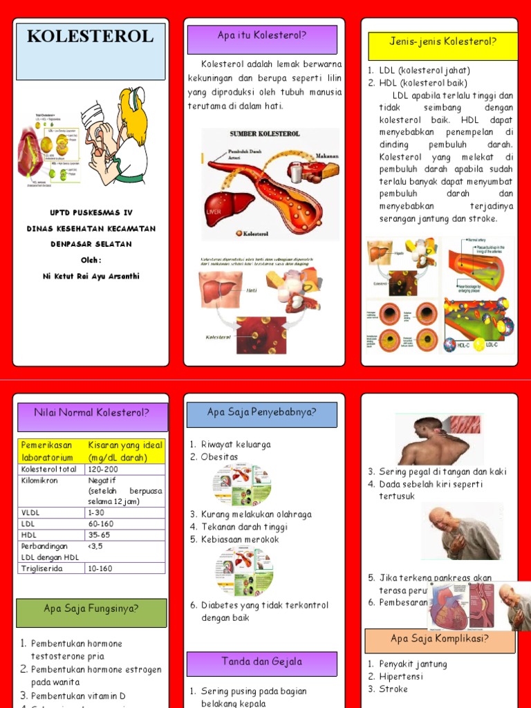 Leaflet Kolesterol Ok | PDF