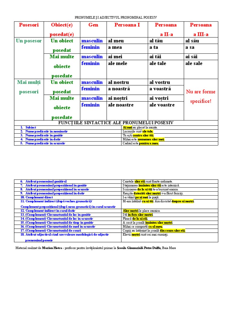 Pronumele Posesiv | PDF