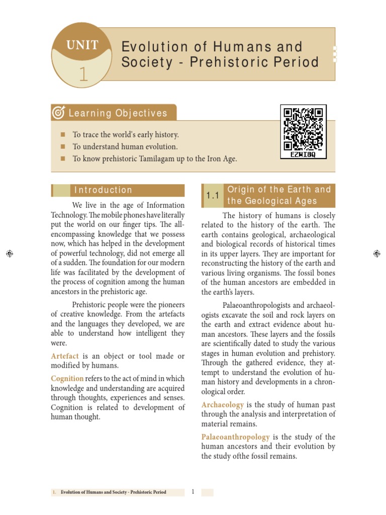 History - 1) Pre-Historic Period | PDF | Homo | Human Evolution