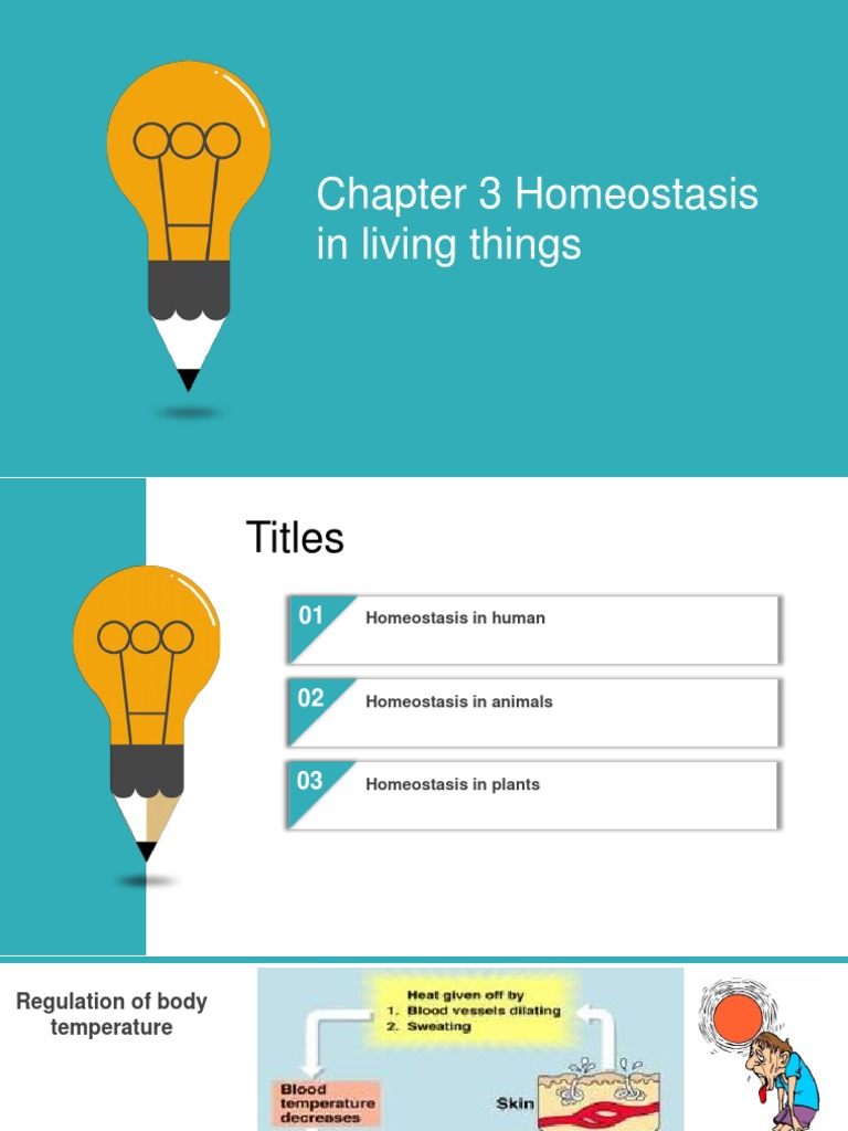 Chapter 3 Homeostasis in Living Things | PDF