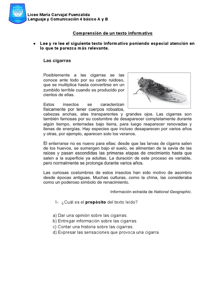 Comprensión de Texto Informativo - 18-05-21 | PDF