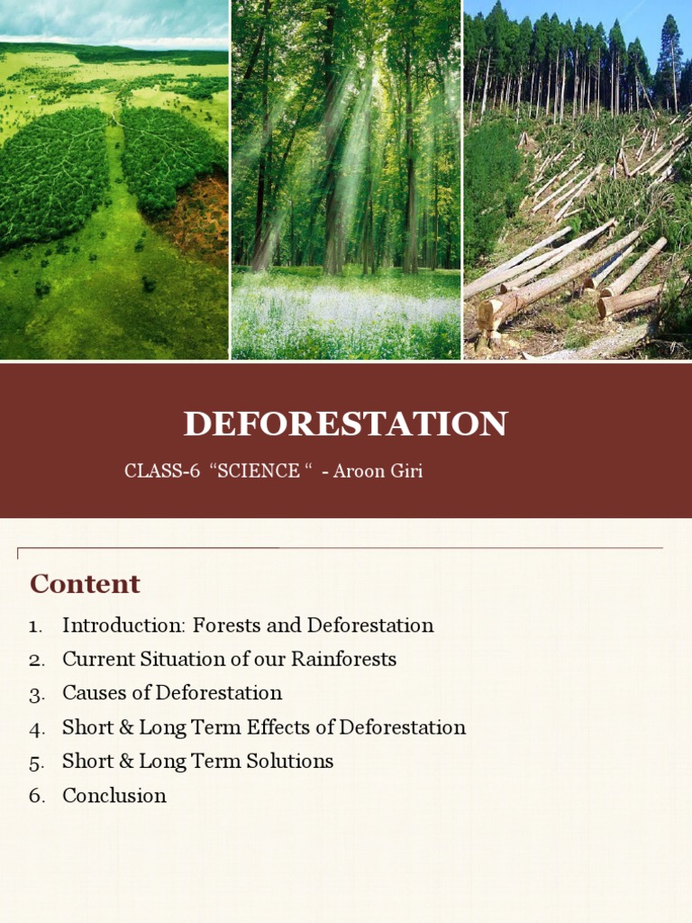 Deforestation: CLASS-6 "SCIENCE " - Aroon Giri | PDF | Deforestation ...