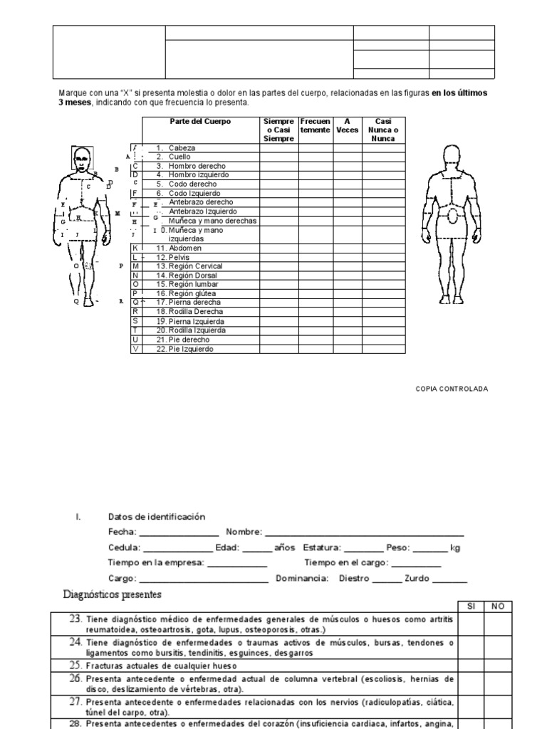 ENCUESTA DE MORBILIDAD SENTIDA Y CONDICIONES INDIVIDUALES Formato | PDF ...