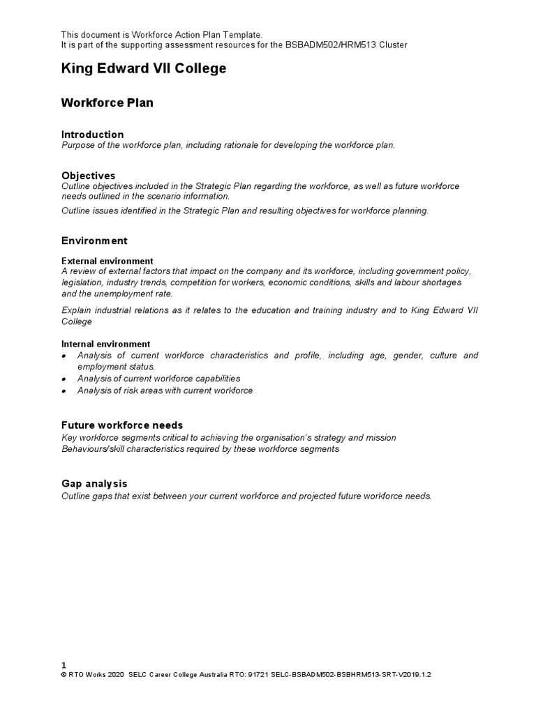 Workforce Action Plan Template | PDF | Workforce | Strategic Planning