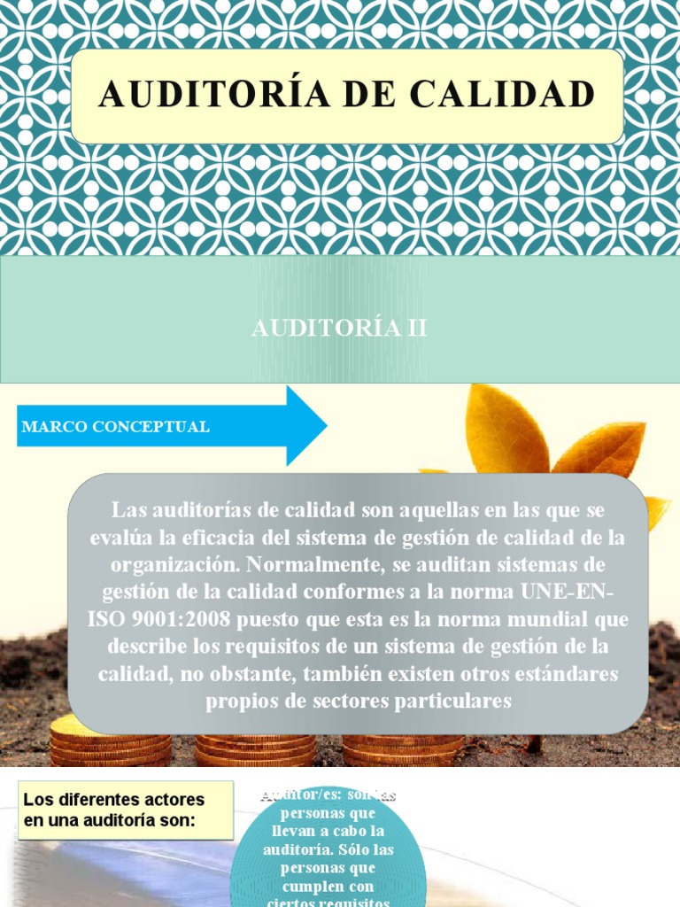 Auditoria de Calidad | PDF | Calidad (comercial) | Auditoría