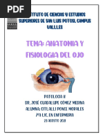 Cápsula de Tenon: Anatomía y Tenonitis | PDF | Ojo humano | Ojo