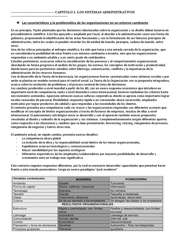 SYPA Cap 1 | PDF | Sistema | Planificación