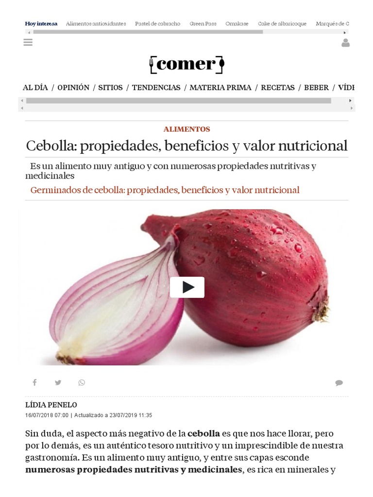 Cebolla - Propiedades, Beneficios y Valor Nutricional Artículo | PDF ...
