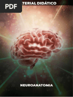 Neuroscience - Dale Purves | PDF | Cérebro | Neurotransmissor
