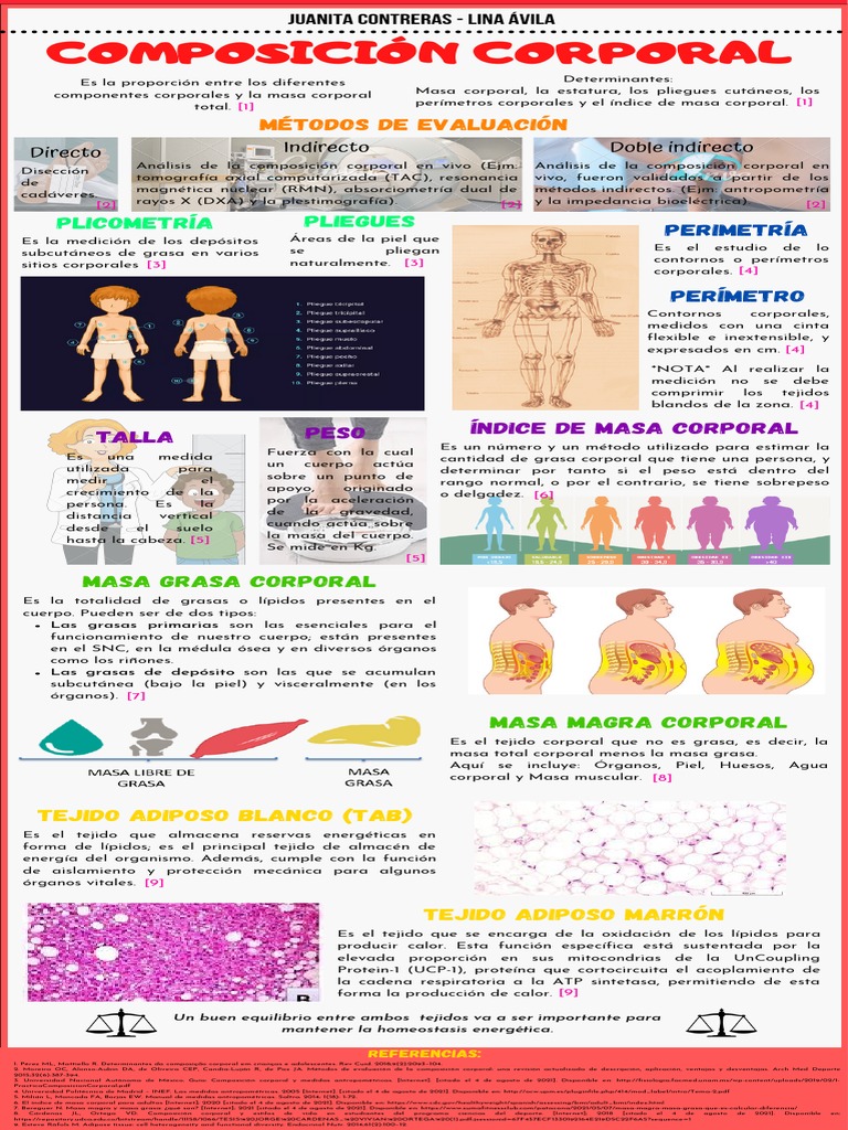 Composición Corporal - Infografía - Lina Ávila y Juanita Contreras | PDF | Tejido adiposo | Lípido
