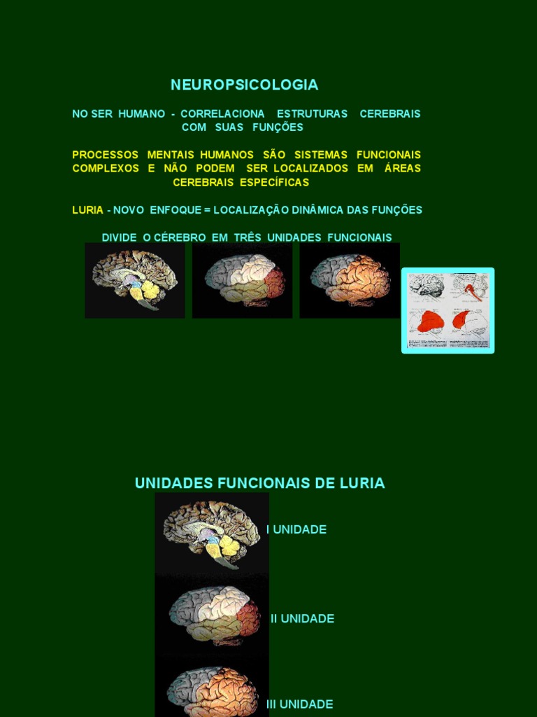 LURIA | PDF | Neuropsicologia | Avaliação neuropsicológica