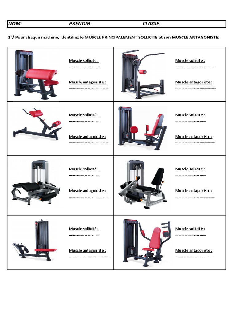 Noms des machines de musculation | PDF